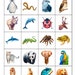 Montessori Bilingual Animal Matching and Memory Game | Montessori ...