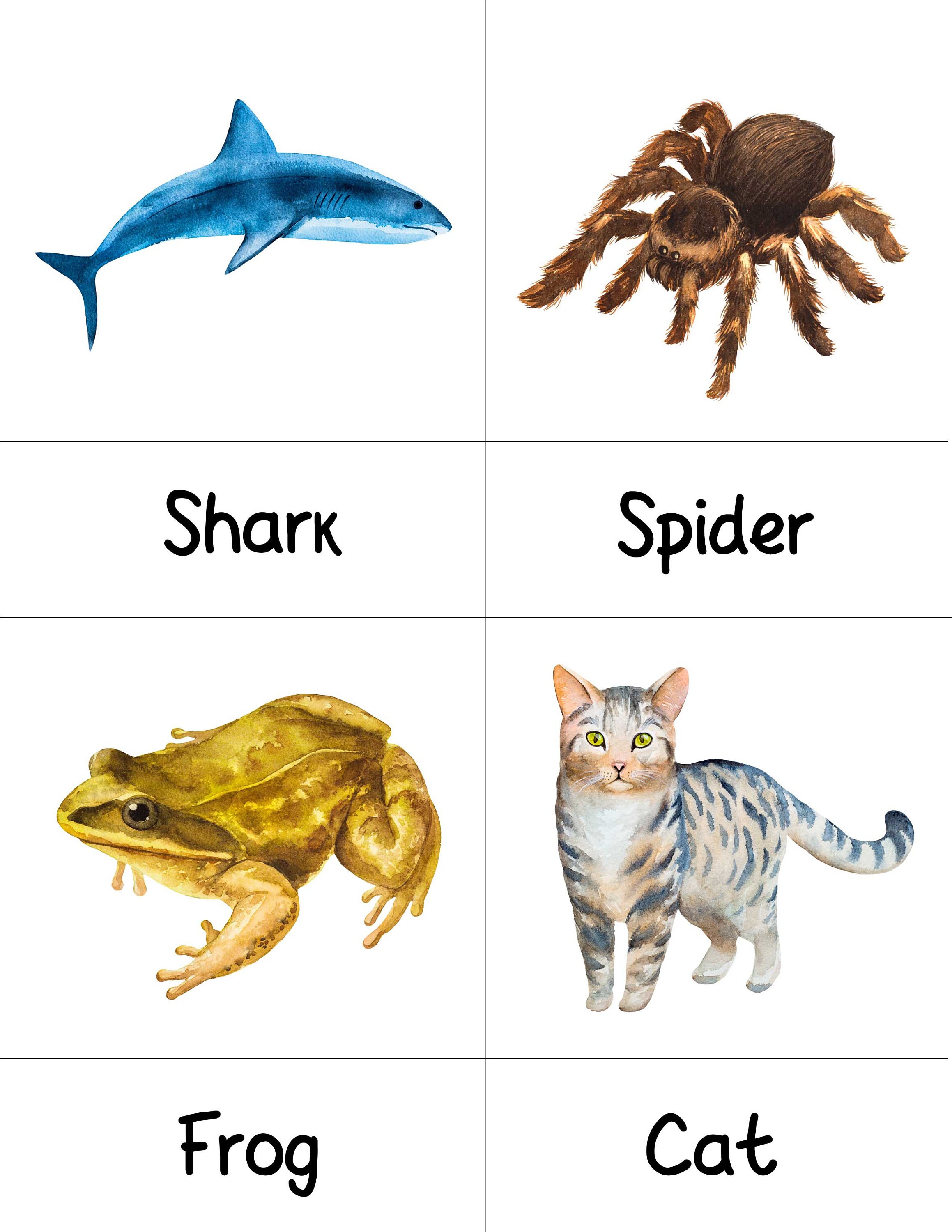 Montessori Bilingual Animal Matching and Memory Game Montessori ...