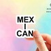 Puro Pinche Party Sticker Vinyl Decal Mexican Phrases Latina Mom ...