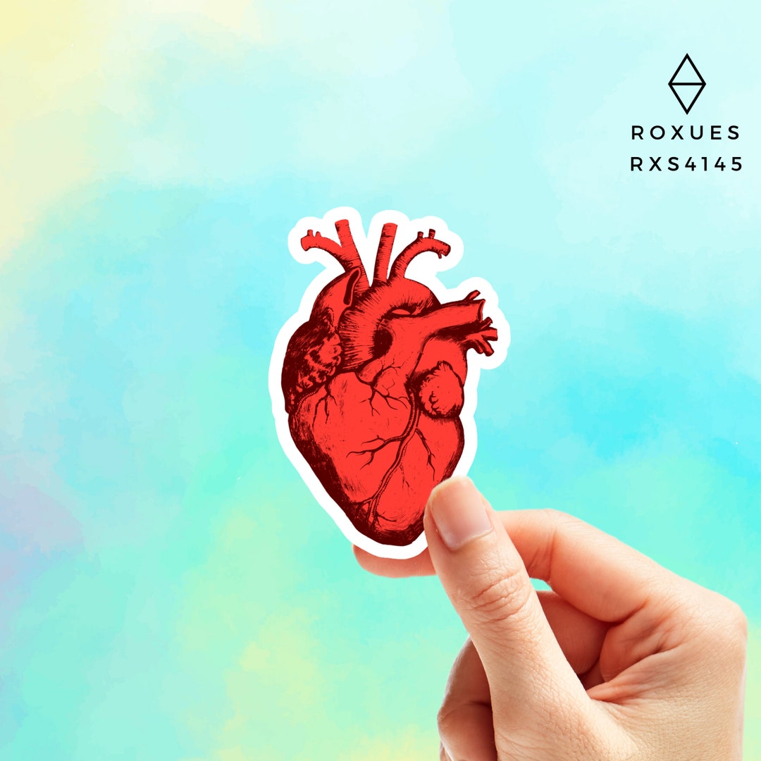 Heart Sticker, Heart Decal, Human Heart, Laptop Sticker, Water Bottle ...