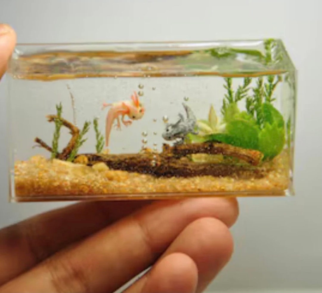 Spooky Vintage Animomal Miniature Angler Fish Dollhouse Miniatures - Etsy