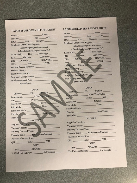 Labor and Delivery Nurse Report/brain Sheet 2 Patient - Etsy