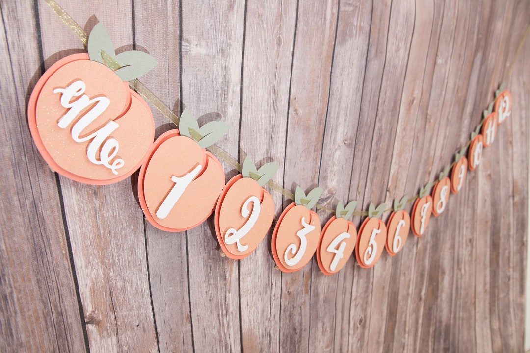 PEACH Birthday Decor - Sweet as a Peach | Photo Banner | 1st Birthday ...