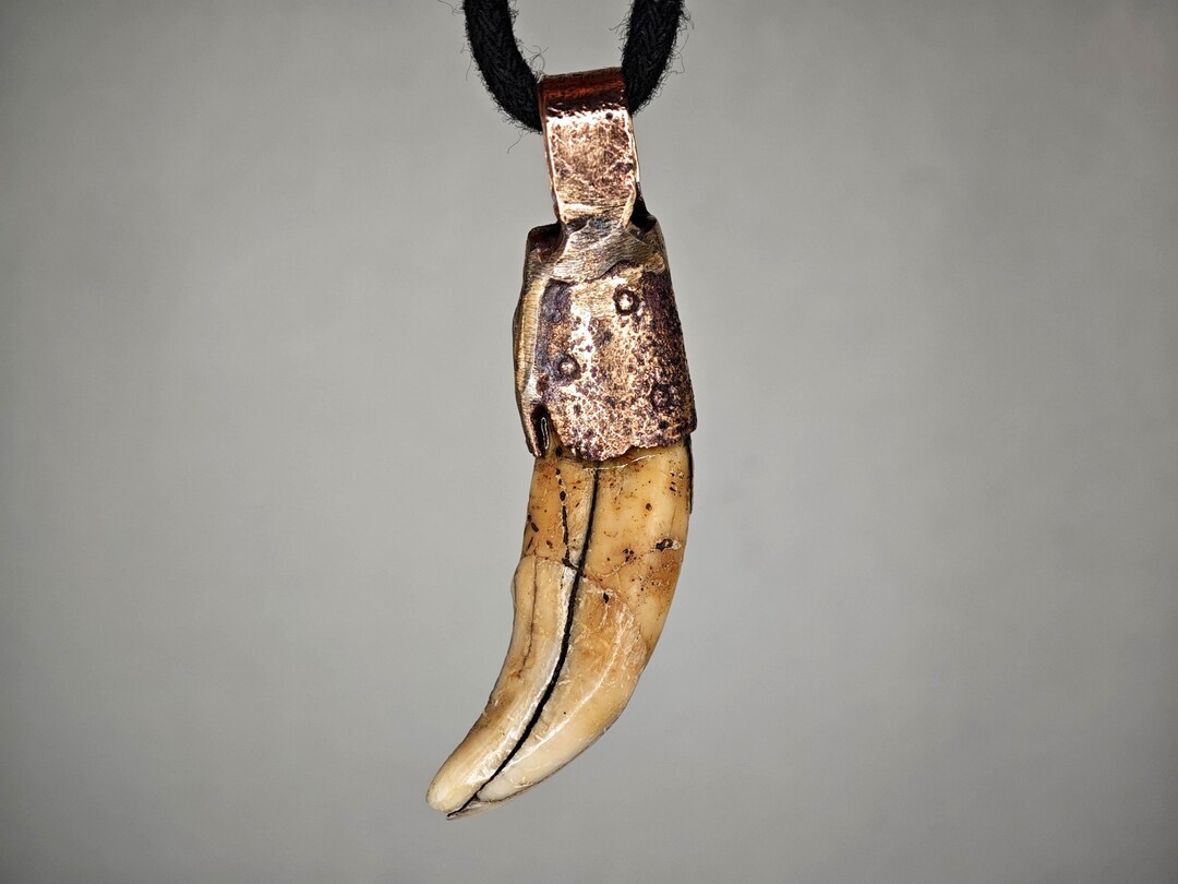 Ancient Viking Amulet Wolf's Tooth / Hunter Amulet / Beast's Tooth - Etsy