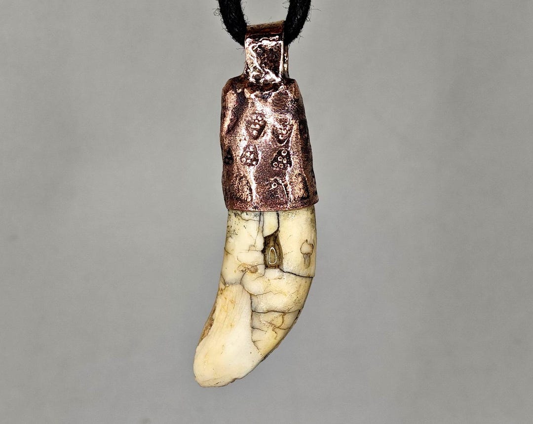 Ancient Viking Amulet Beast Tooth / Hunter Amulet / Beast's Tooth ...