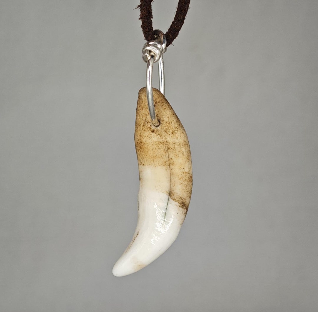 Ancient Viking Amulet Wolf Tooth / Hunter Amulet / Wolf Tooth / Ancient ...