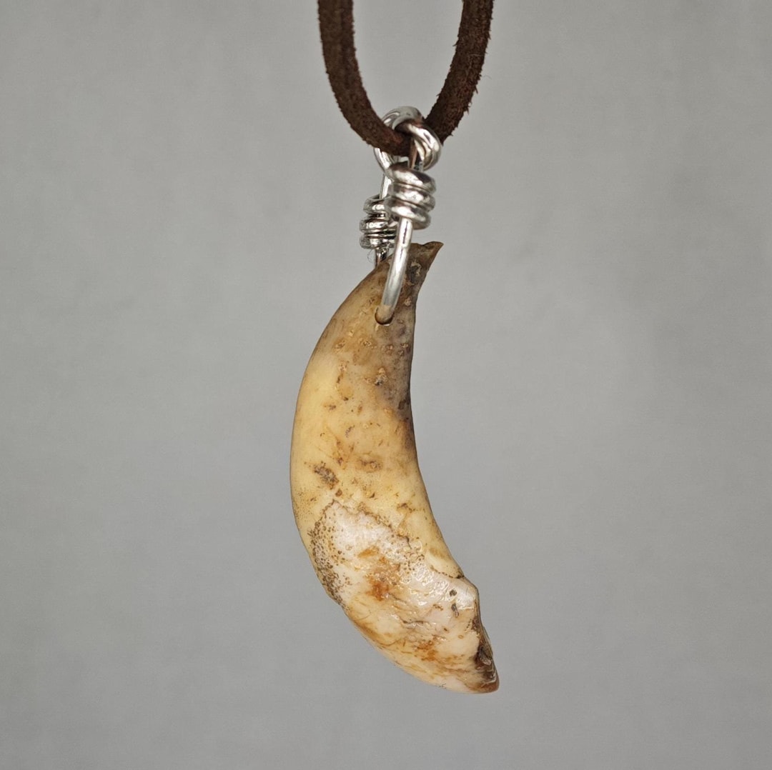 Ancient Viking Amulet Beast Tooth / Hunter Amulet / Wolf Tooth ...