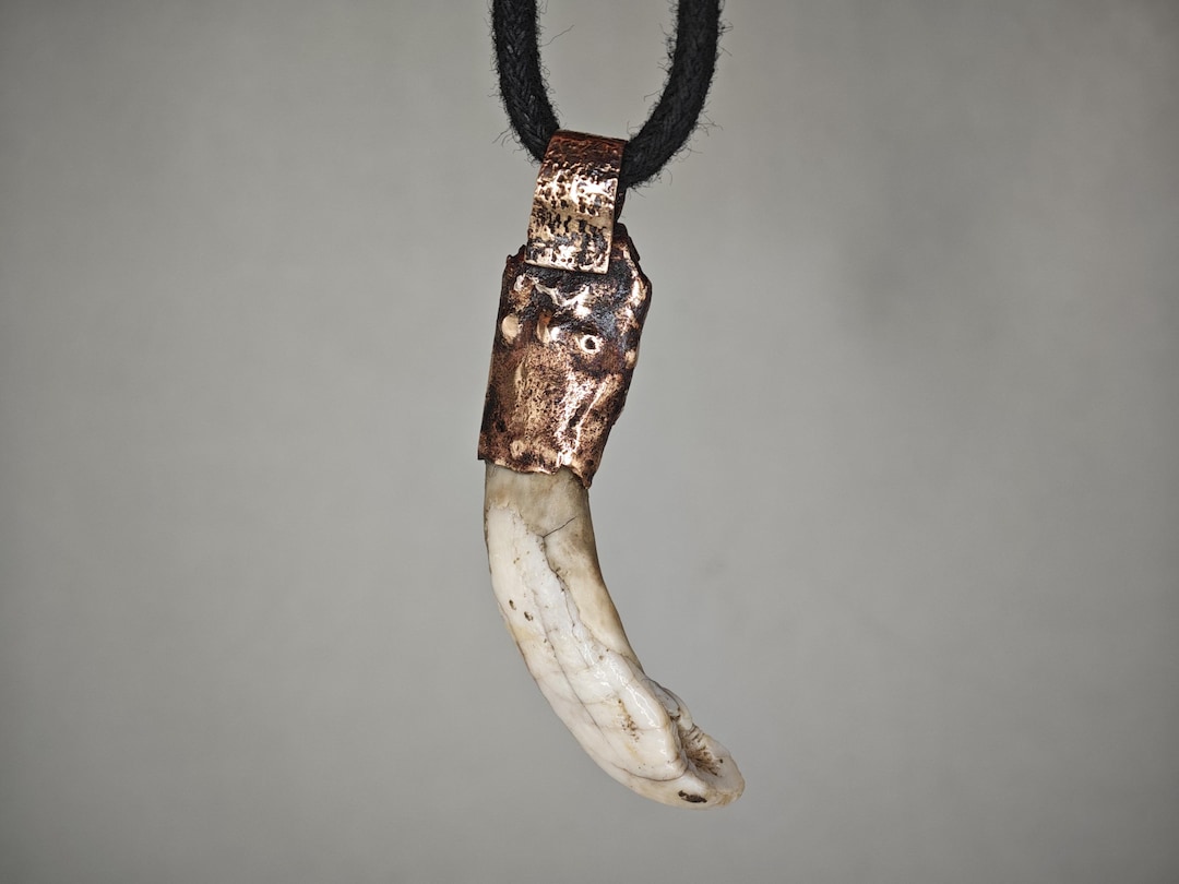 Ancient Viking Amulet Beast Tooth / Hunter Amulet / Beast's Tooth - Etsy