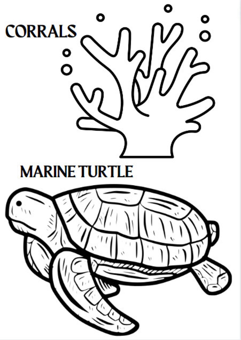 Coloring Page Printable Coloring for Kids Sea Life - Etsy