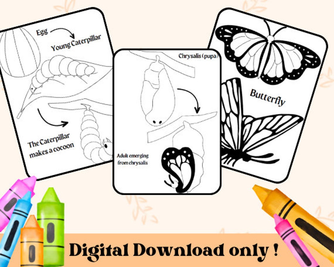 Página para colorear, Colorear imprimible para niños, Etapas de ...