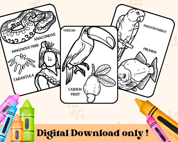 Amazon Rainforest Coloring Pages