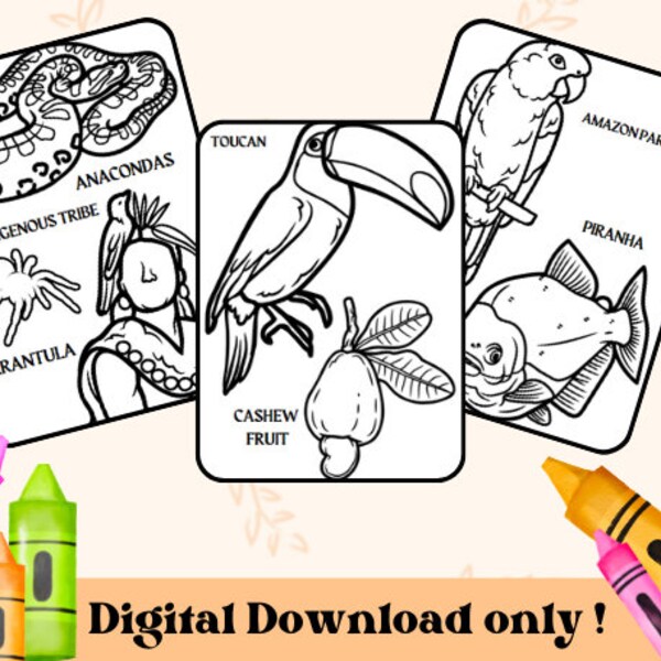 Rainforest Coloring Page Kids - Etsy