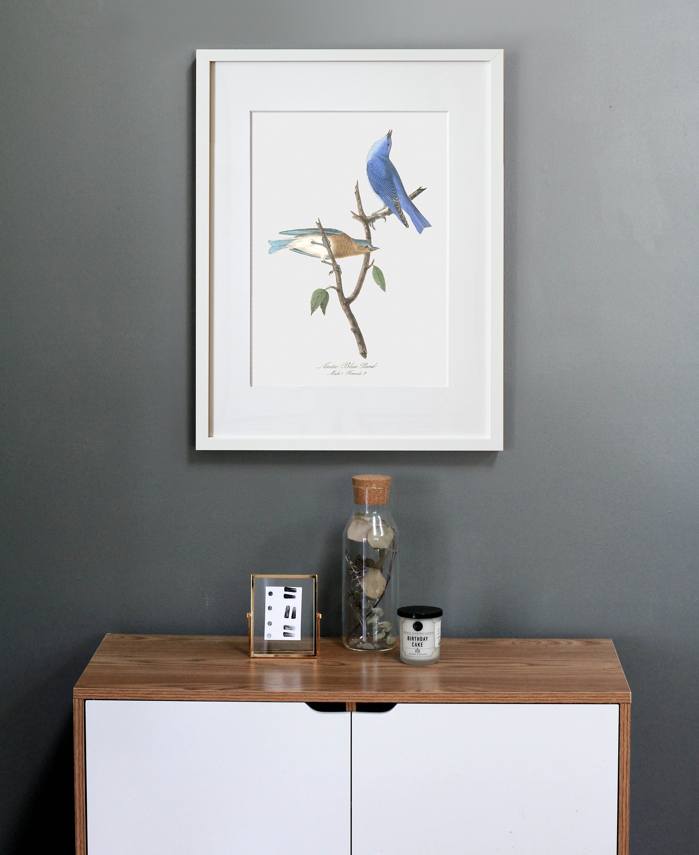 Bird Wall Art Bird Wall Hanging Framed Bird Wall Art | Etsy