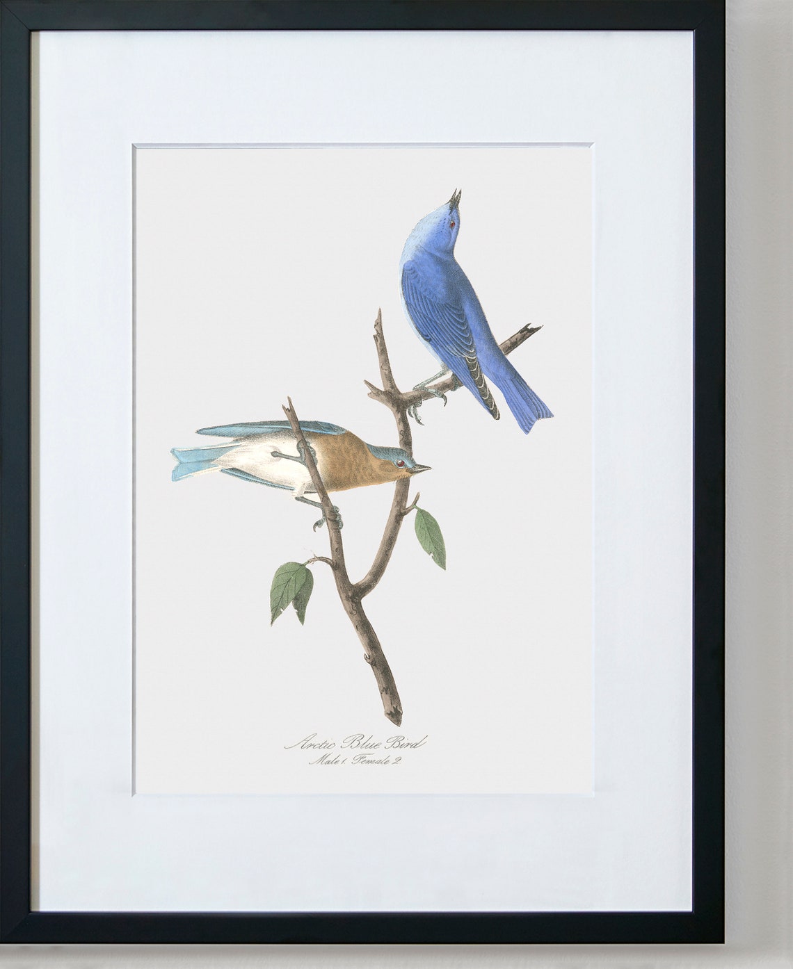 Bird Wall Art Bird Wall Hanging Framed Bird Wall Art | Etsy