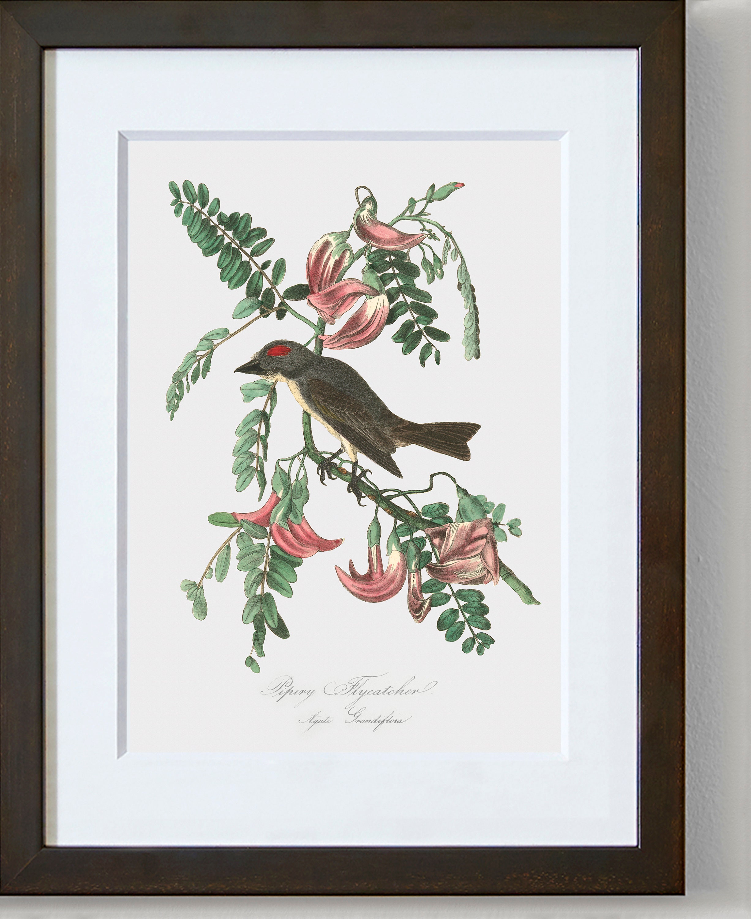 Bird Art Print Bird Wall Art Bird Illustration Bird Wall | Etsy