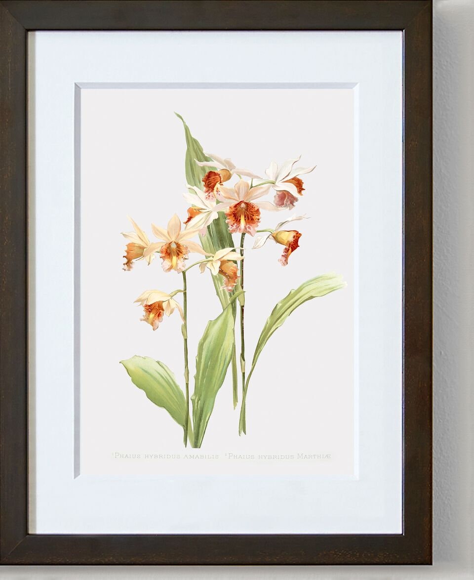 Orchid Art Floral Wall Art Decor Framed Flower Wall Art | Etsy