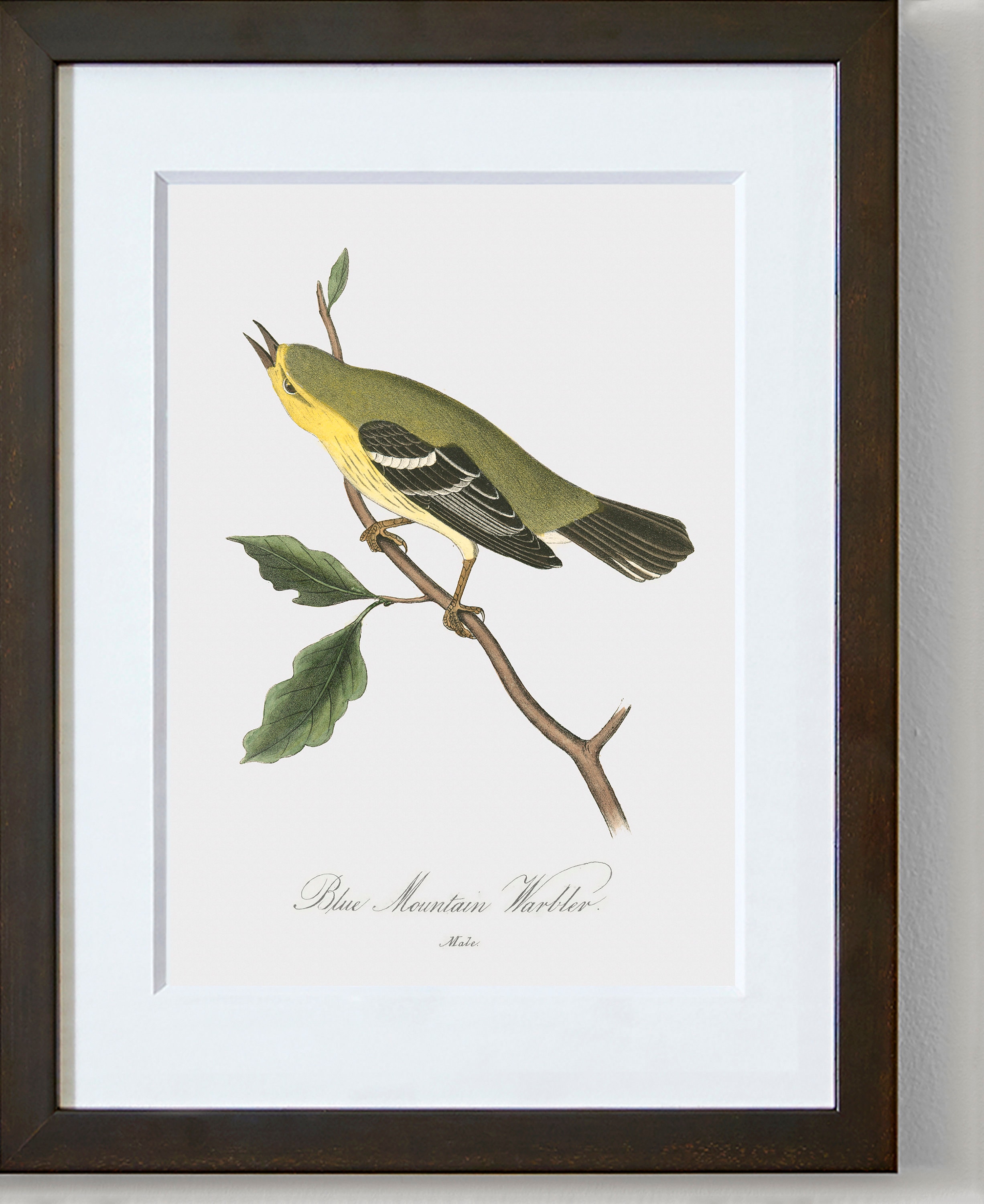 Framed Bird Wall Art, Bird Canvas Wall Art, Bird Artwork, Blue-mountain ...