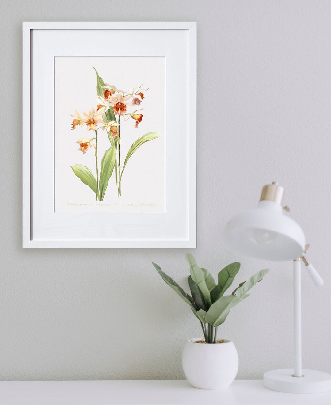 Orchid Art, Floral Wall Art Decor, Framed Flower Wall Art, Floral ...