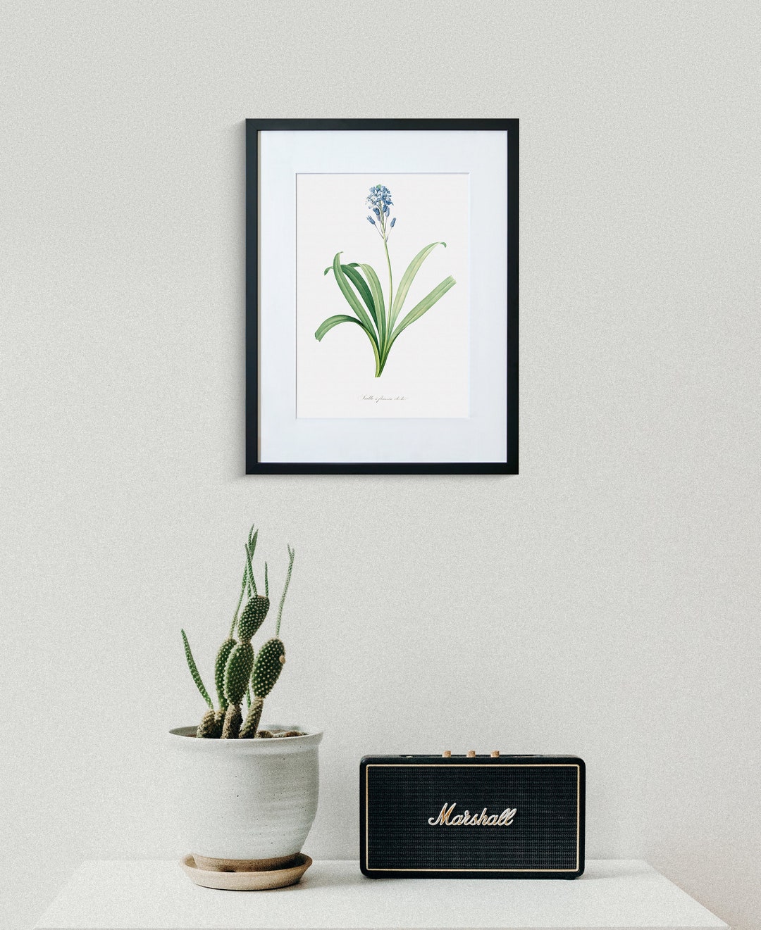 Flower Print - Floral Art - Bluebell - Botanical Fine Art Print ...
