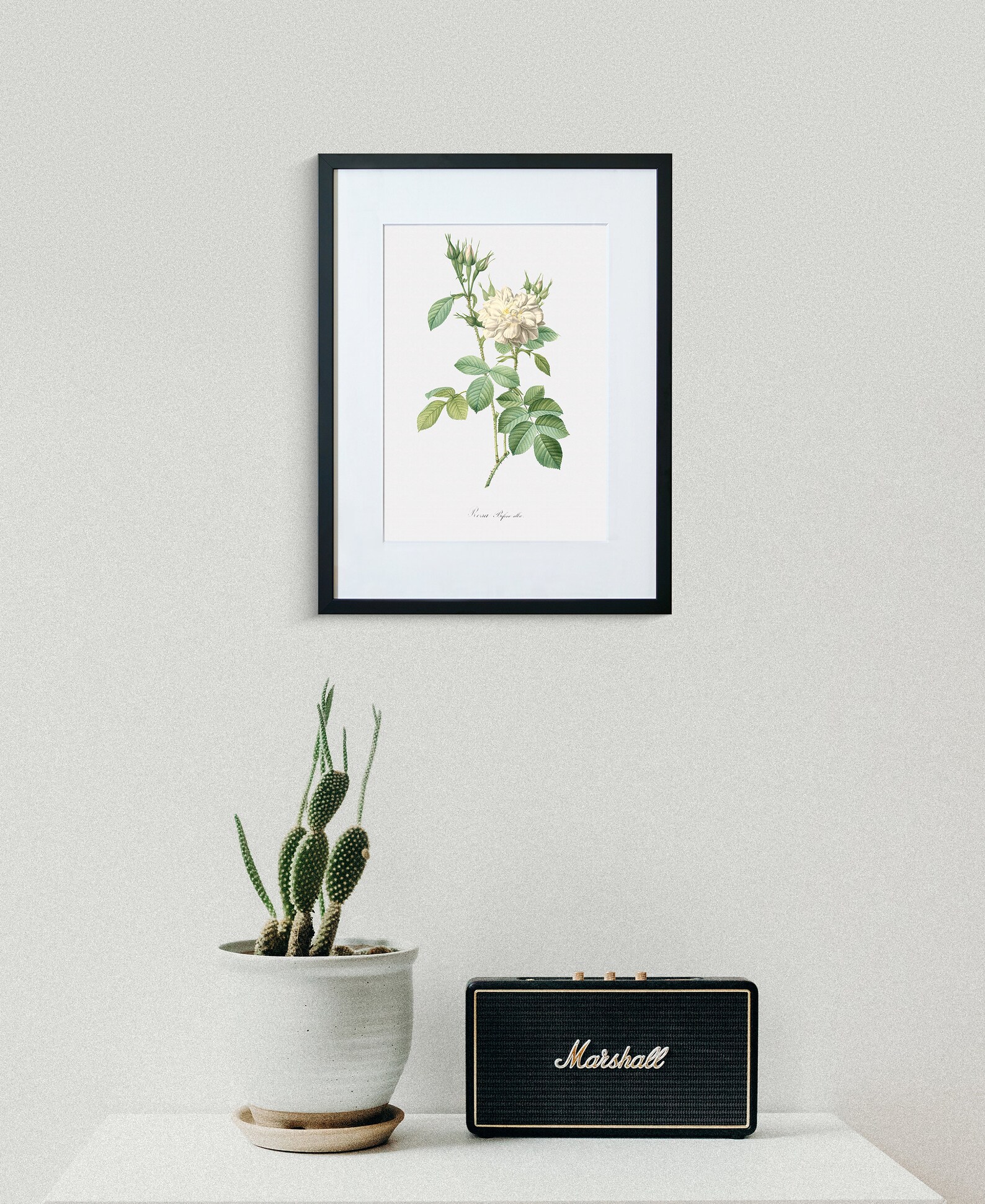 Rose Art Print Floral Art White Four-seasons Rose Rosa - Etsy