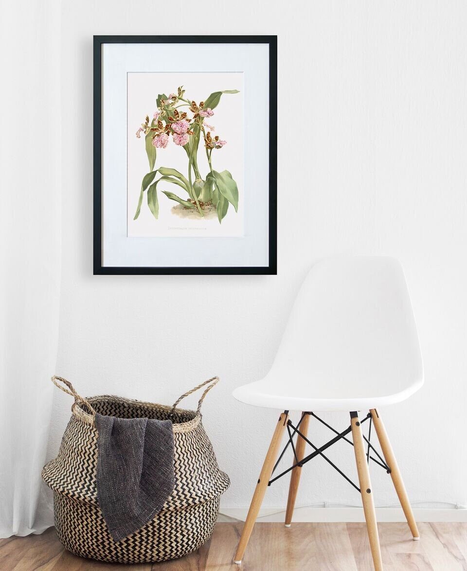 Orchid Wall Decor, Orchid Art Print, Orchid Flower Print, Floral Canvas ...