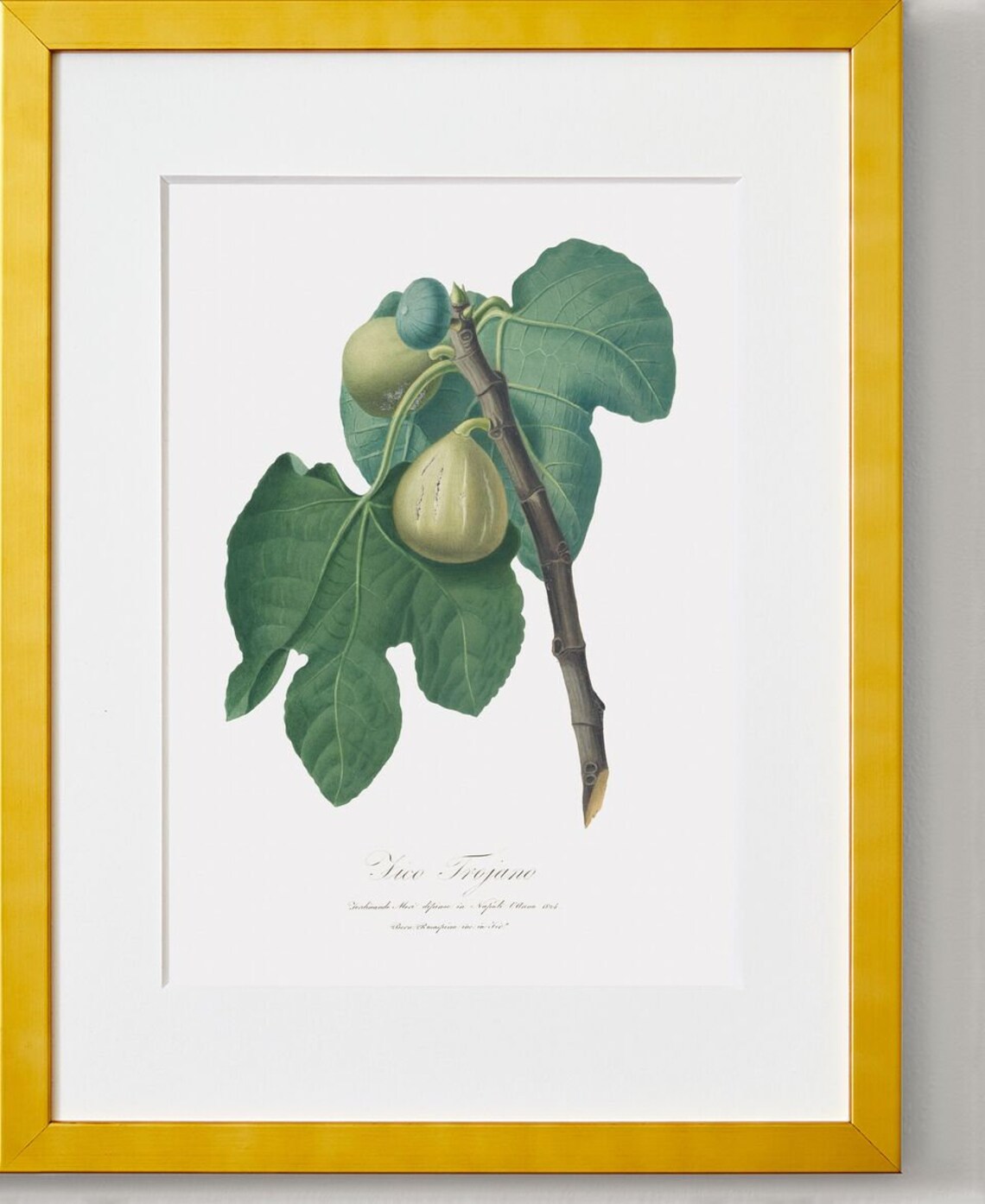 Fruit Wall Art Fruit Wall Decor Fruit Painting Fig Artwork | Etsy