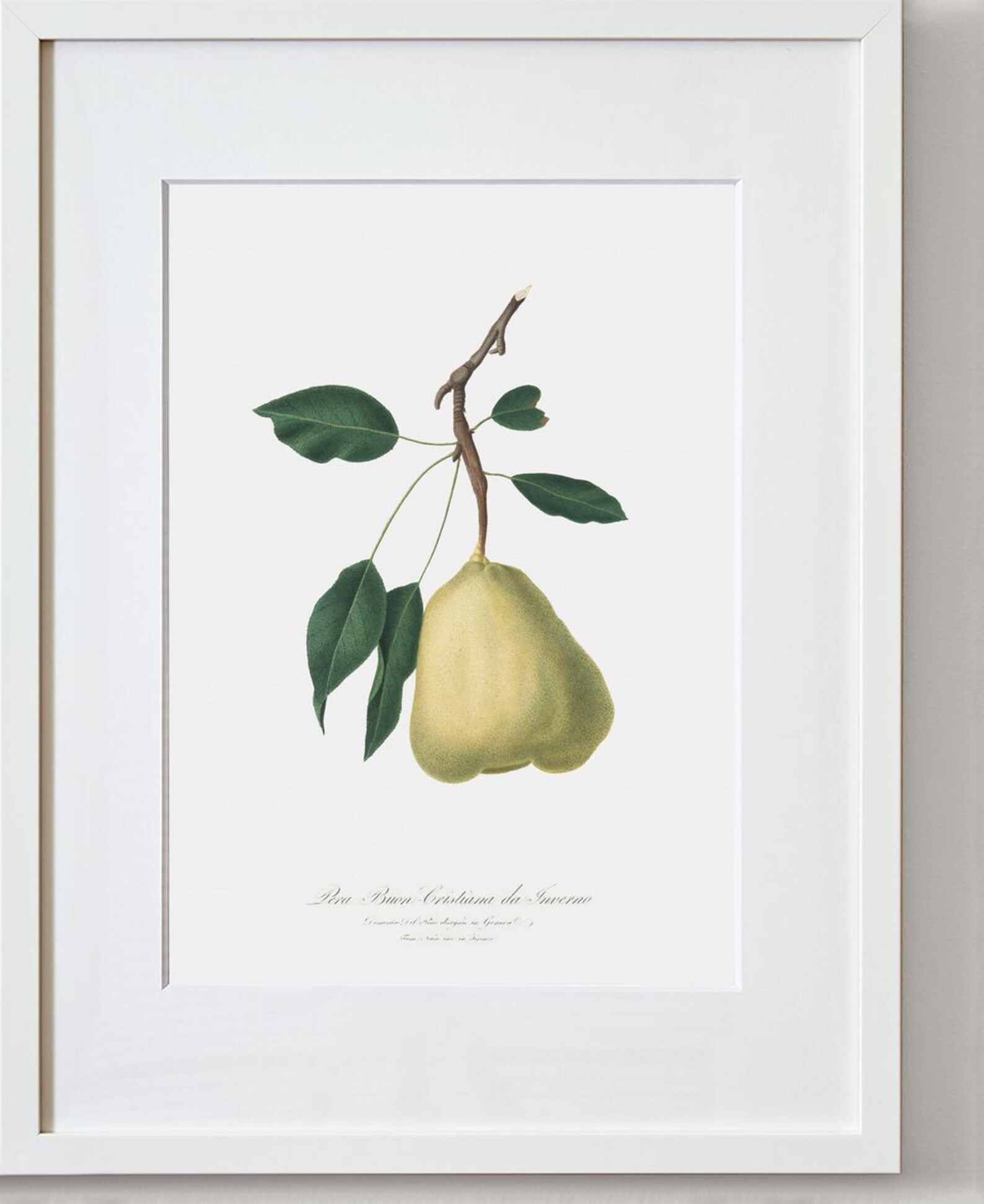 Fruit Wall Art Fruit Decor for Kitchen Kitchen Wall Decor - Etsy