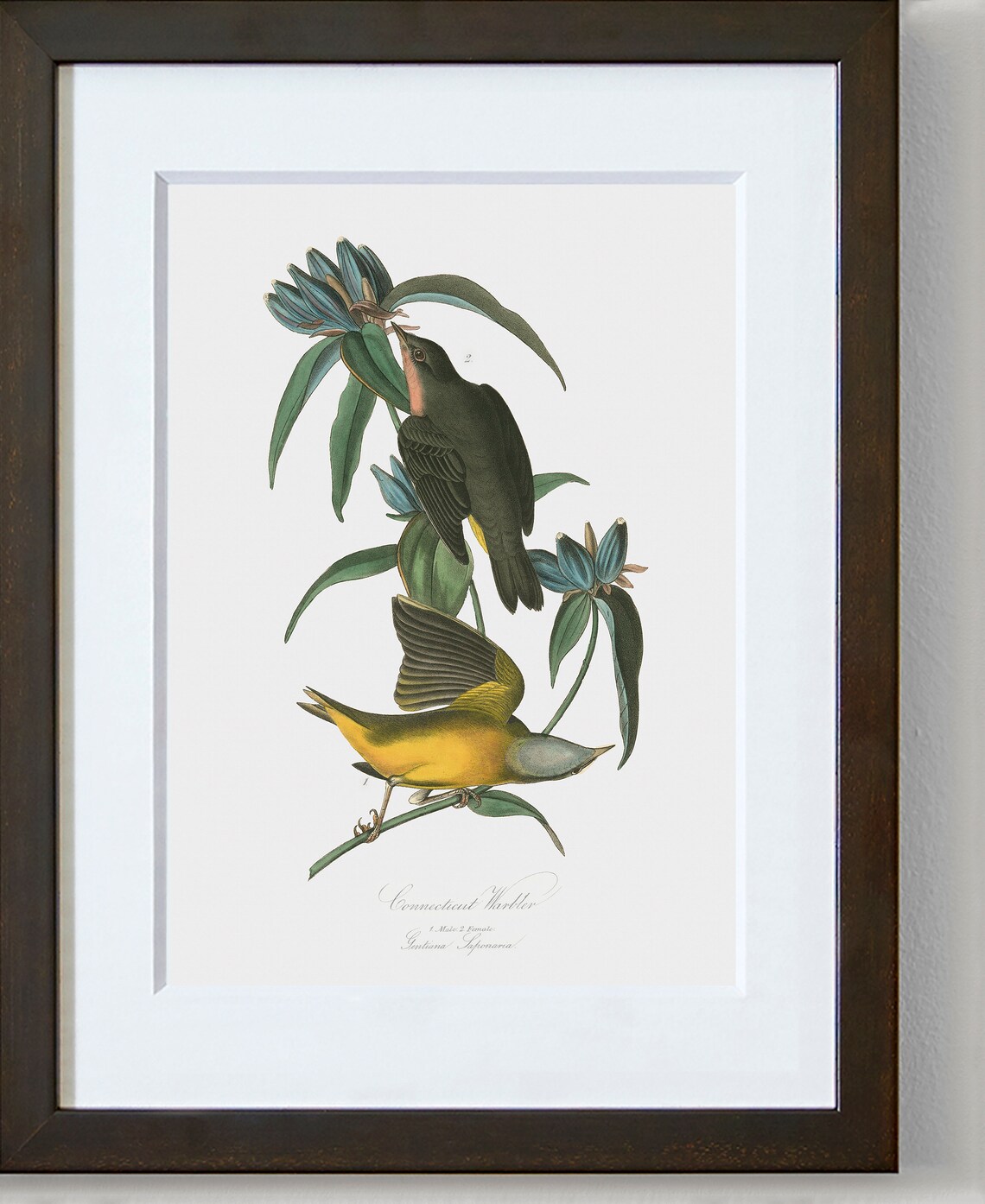Bird Wall Art Framed Bird Wall Art Bird Wall Hanging - Etsy