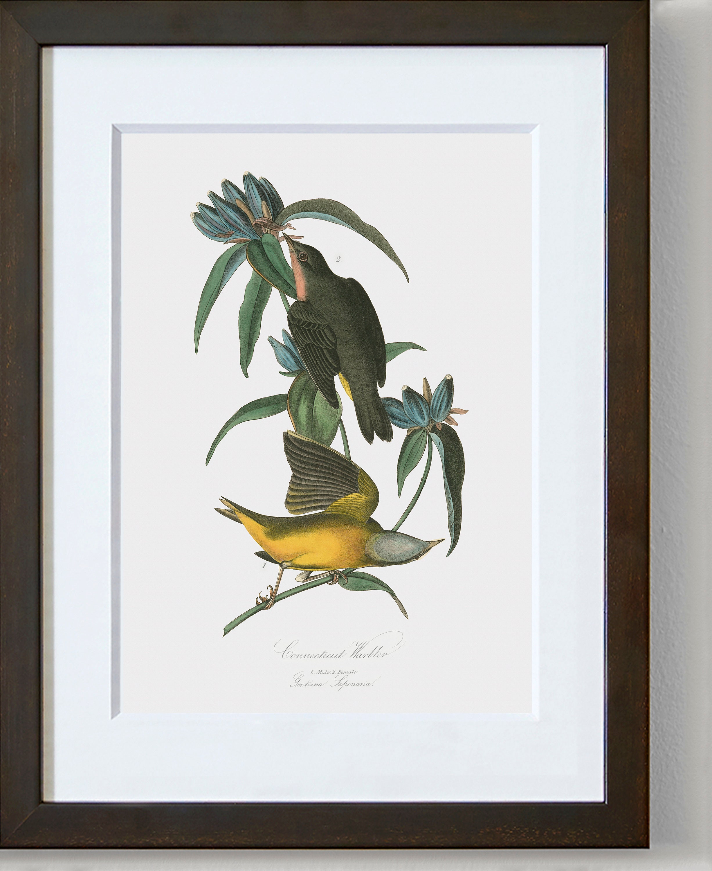 Bird Wall Art Framed Bird Wall Art Bird Wall Hanging | Etsy