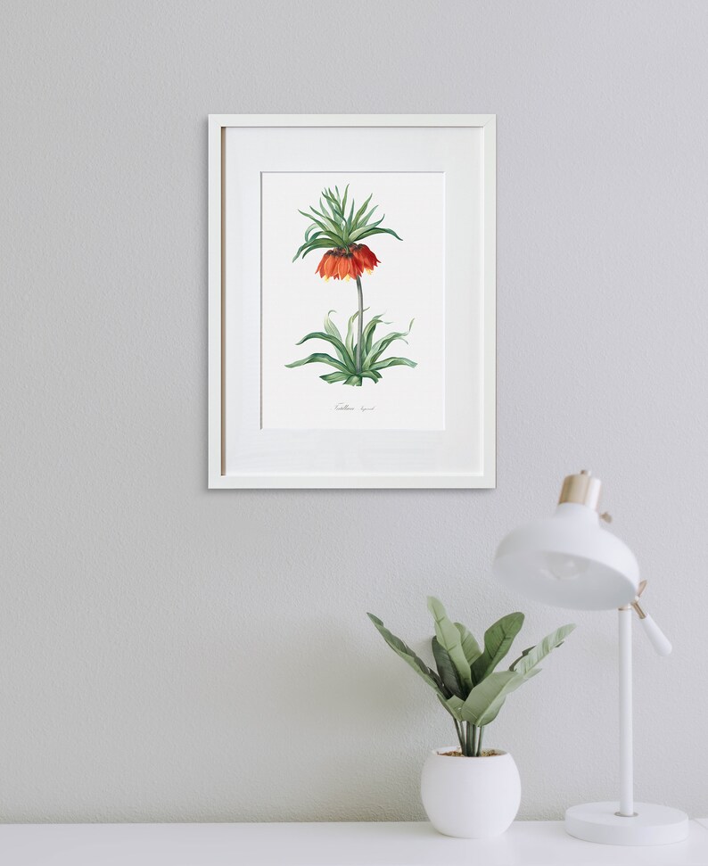 Flower Print Floral Art Crown Imperial Botanical Fine - Etsy