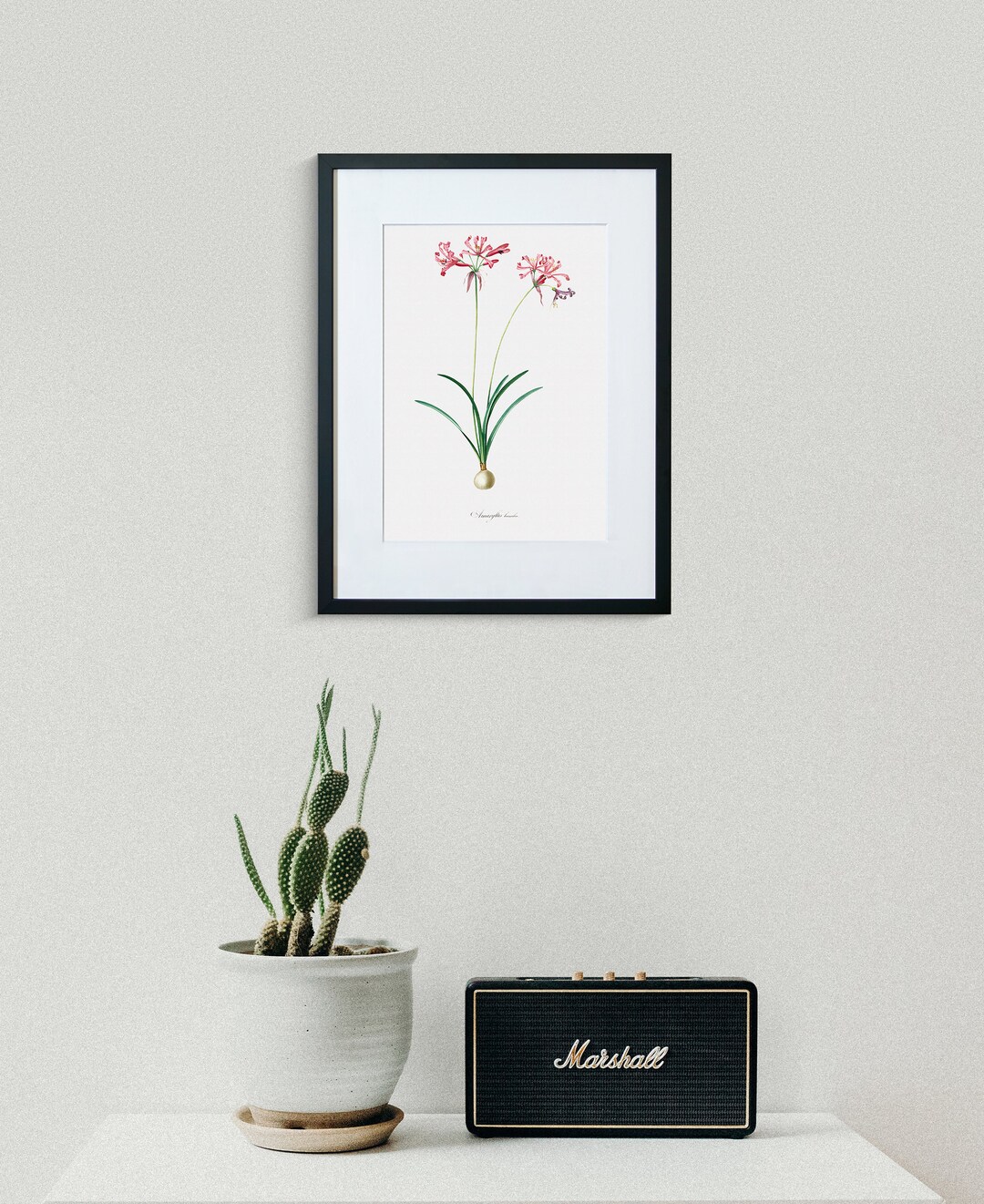 Flower Print - Floral Art - Nerine Lily - Botanical Fine Art Print ...