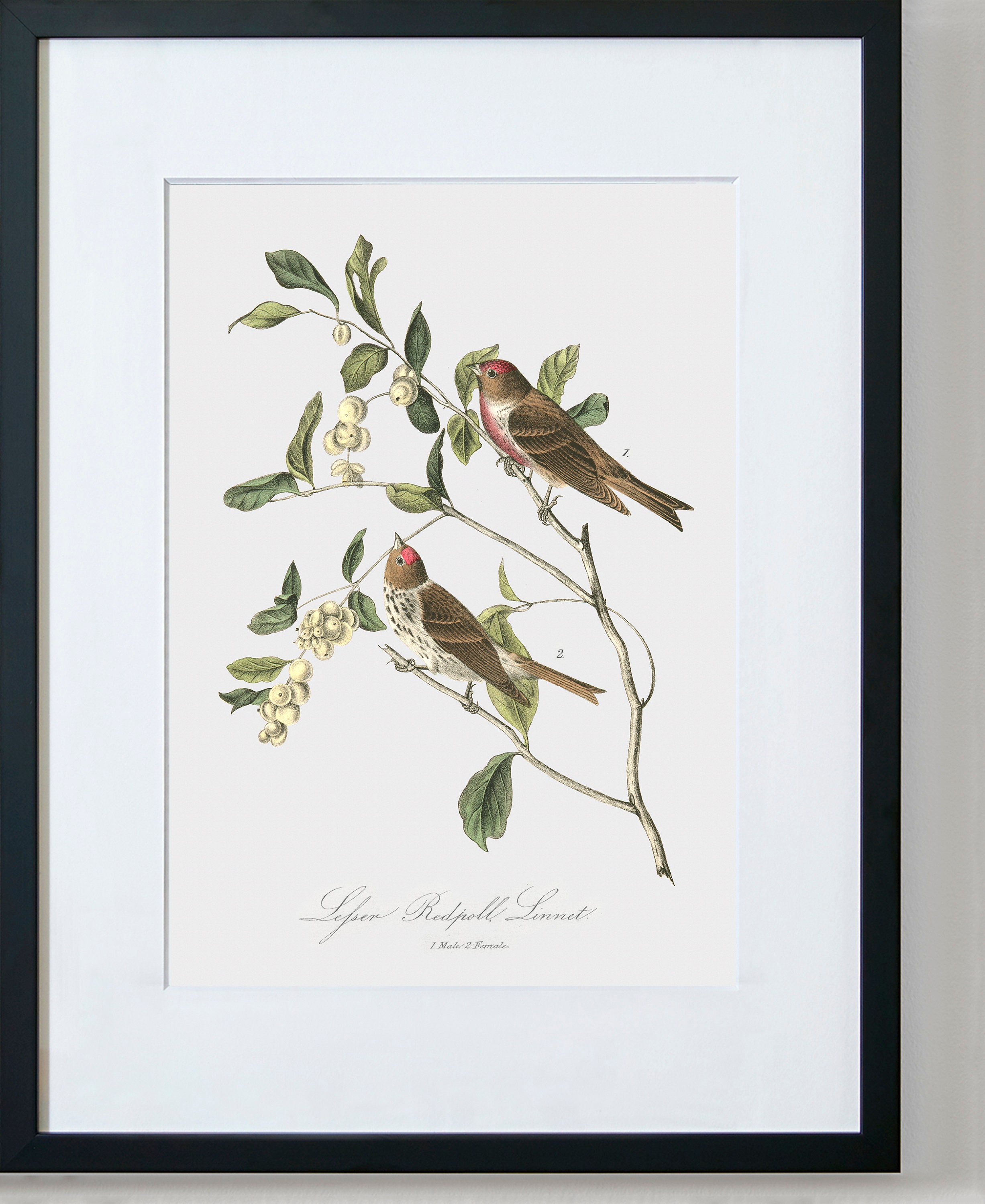 Bird Wall Art Bird Wall Hanging Framed Bird Wall Art | Etsy