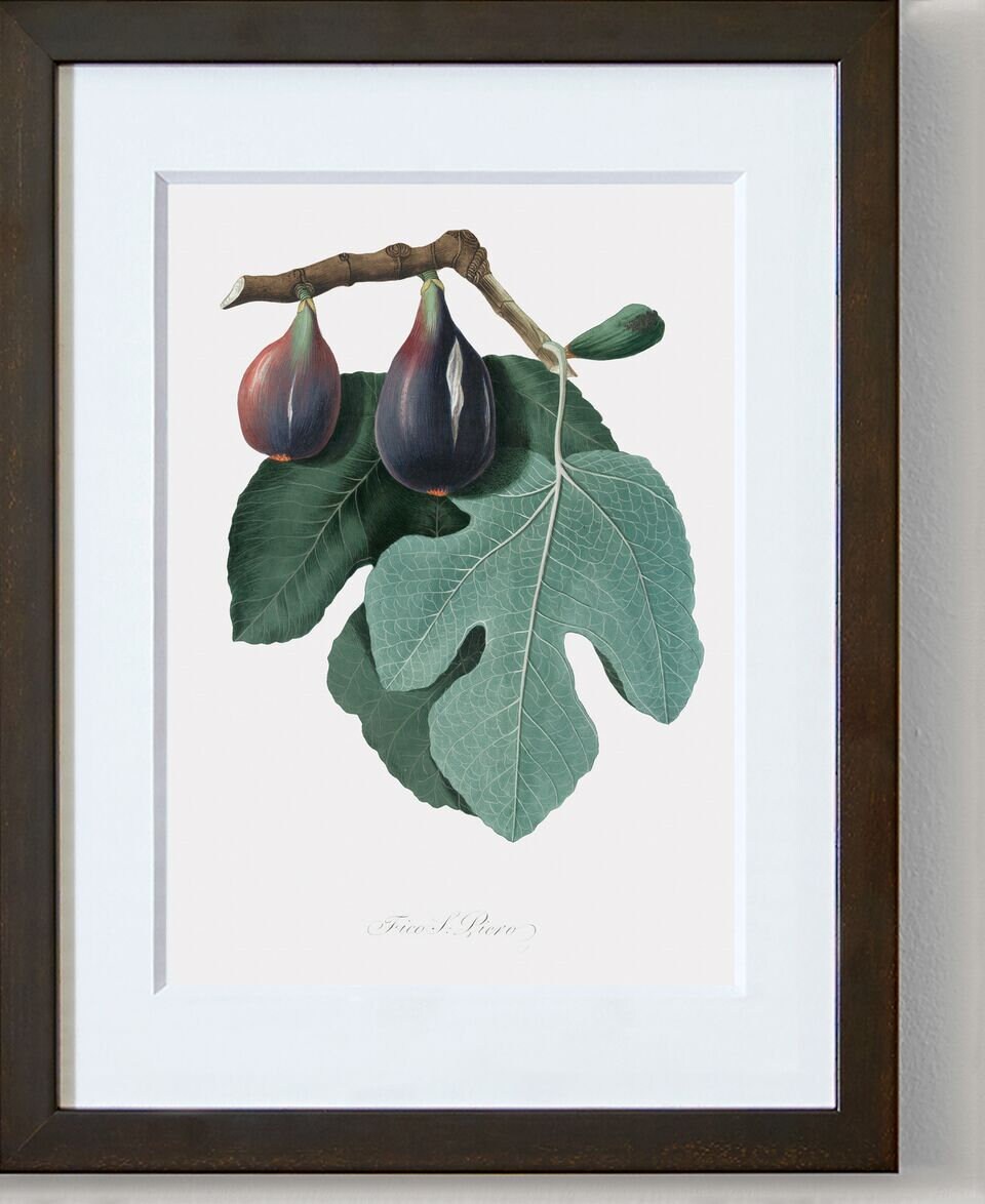 Fruit Wall Art, Fruit Wall Decor, Fruit Painting, Fig Art, Fig Tree Art ...