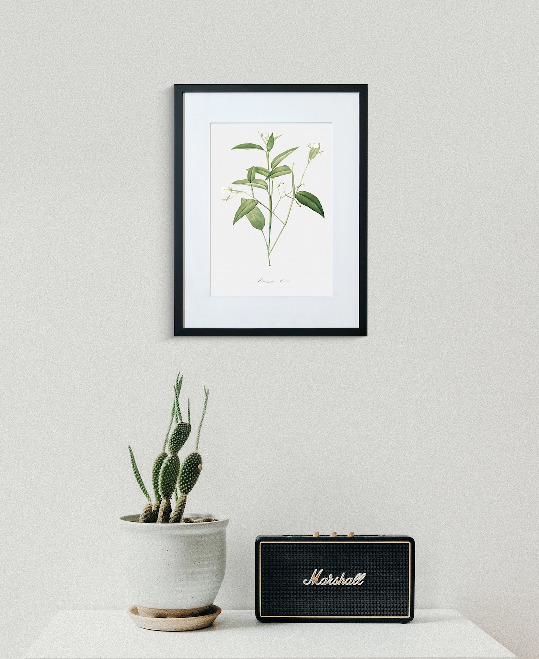 Flower Print - Floral Art - Arrowroot - Botanical Fine Art Print ...