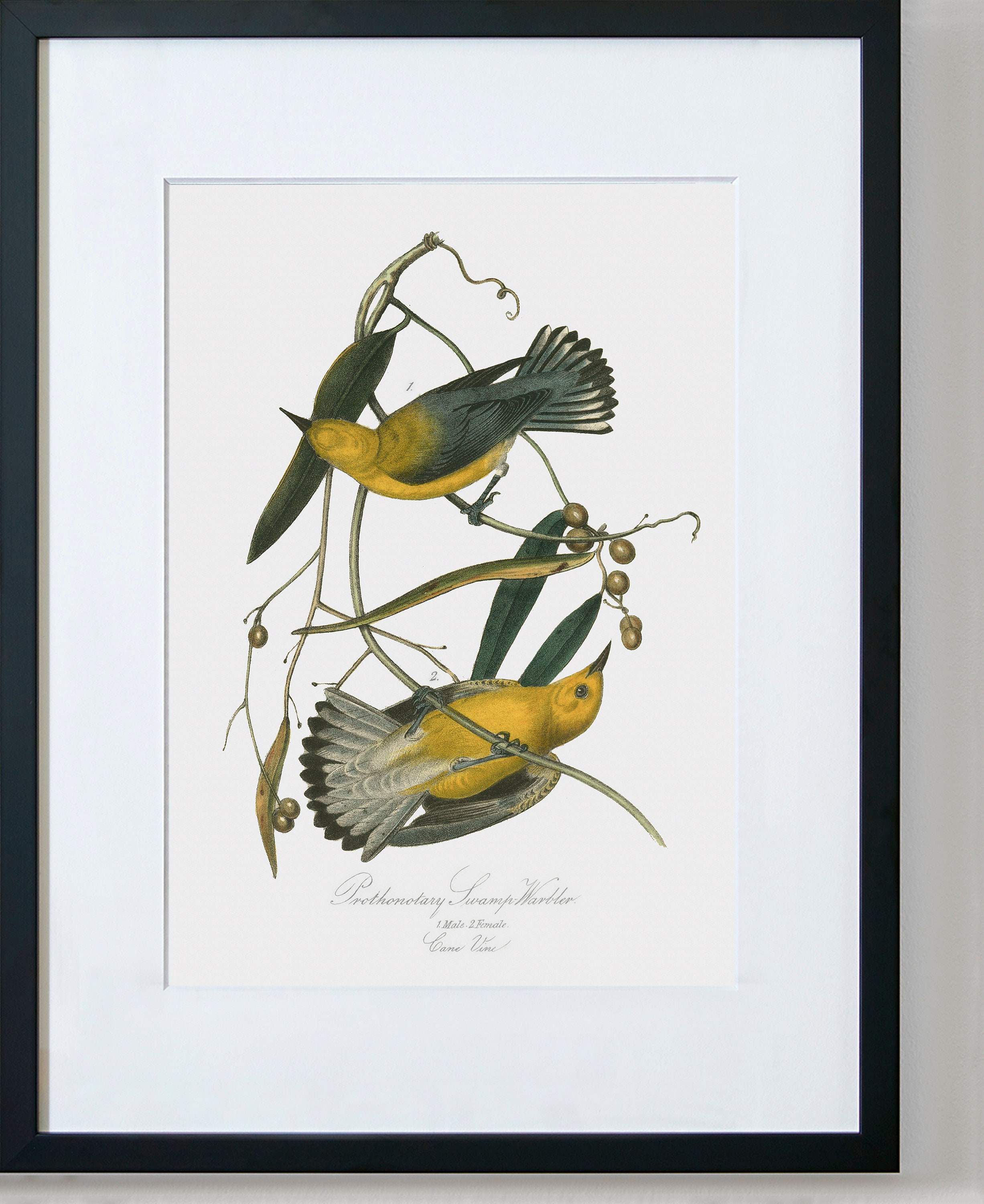 Bird Wall Art Framed Bird Wall Art Bird Home Decor | Etsy