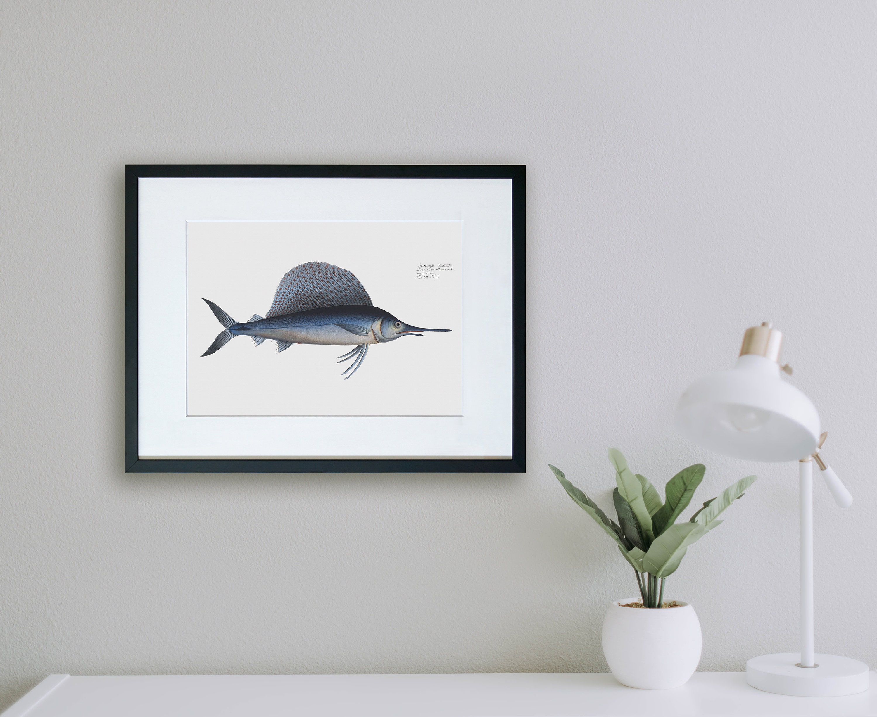 Fish Wall Art the Ola-fish Fish Fine Art Prints Framed - Etsy