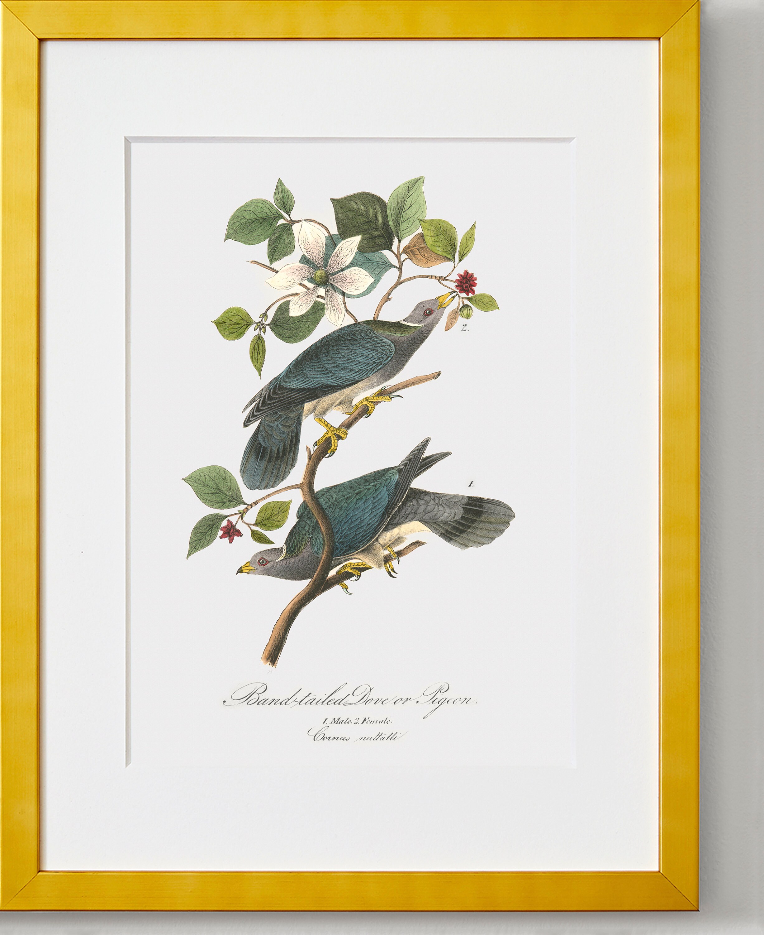 Bird Wall Art Framed Bird Wall Art Bird Wall Hanging | Etsy