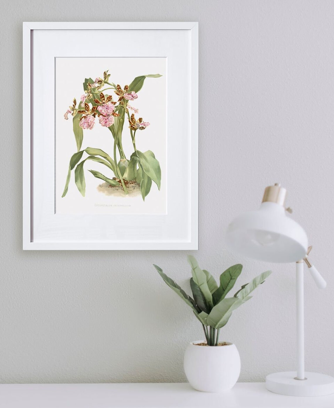 Orchid Wall Decor Orchid Art Print Orchid Flower Print - Etsy