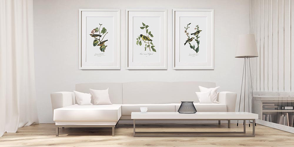 Bird Wall Art Bird Wall Hanging Framed Bird Wall Art | Etsy