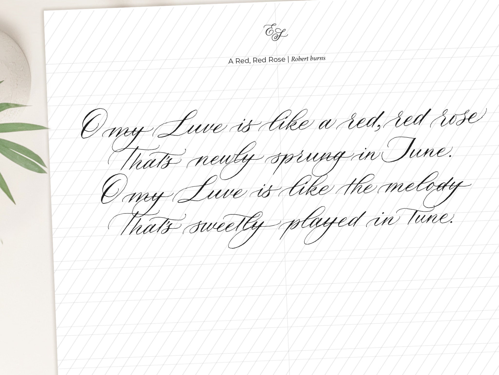 Traceable Calligraphy Workbook, Calligraphy Worksheets, Pointed Pen ...