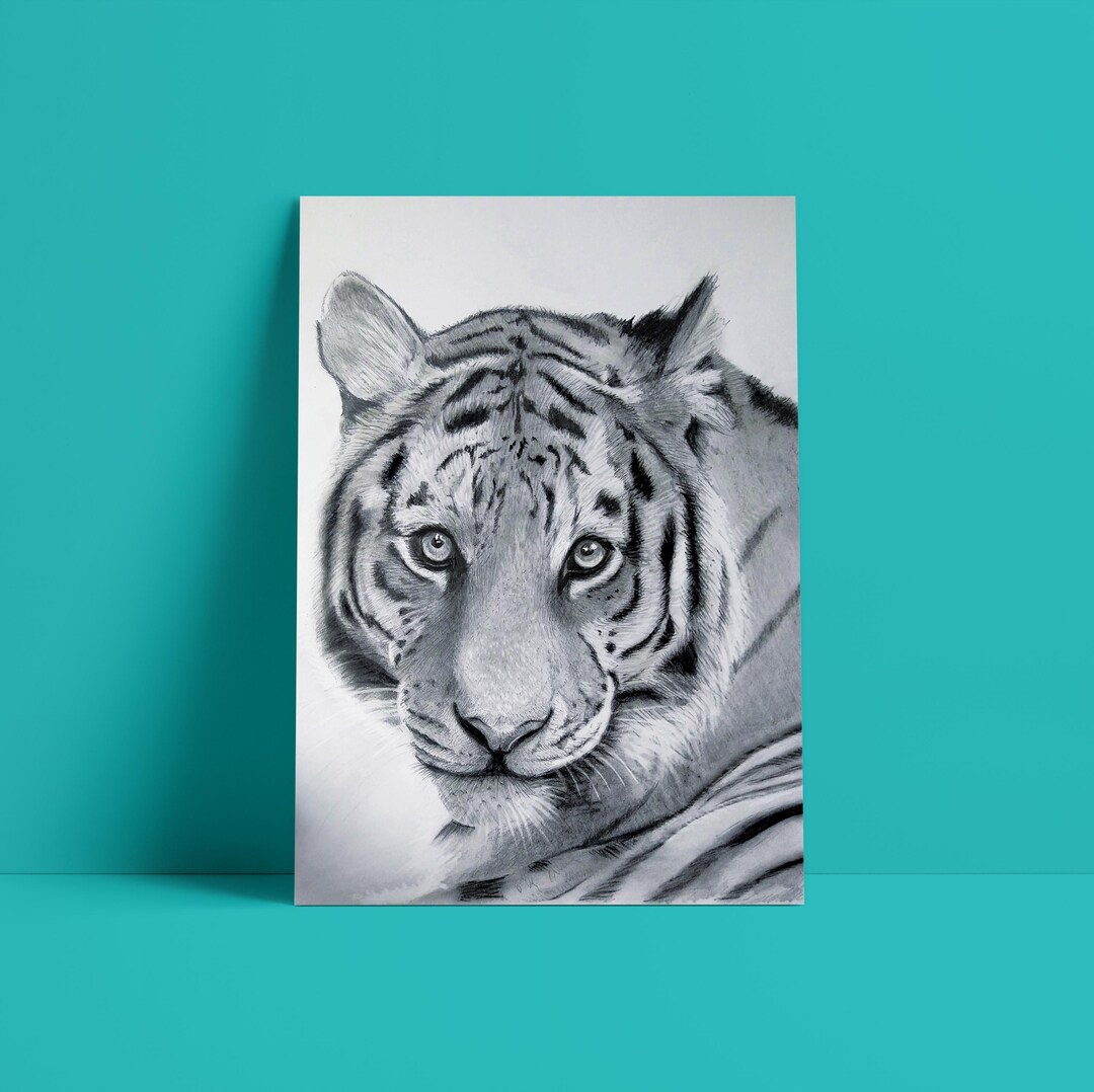 Tiger Print | Tiger Pencil Drawing | Wildlife Art | Tiger Lovers ...