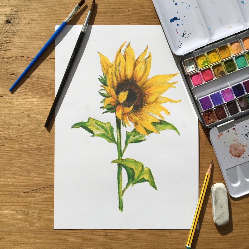 Sunflower Drawing - Etsy