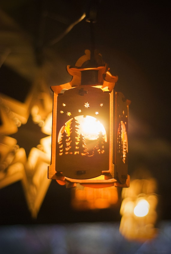 Lit Lantern Forest