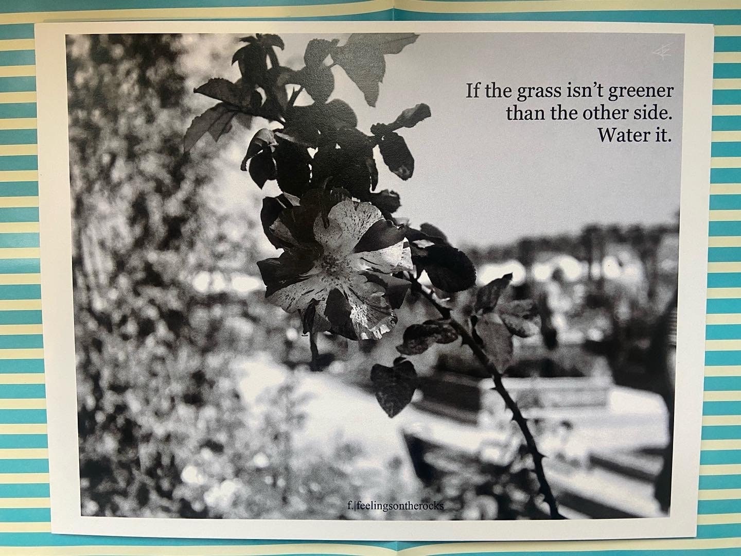 Green Grass Print - Etsy