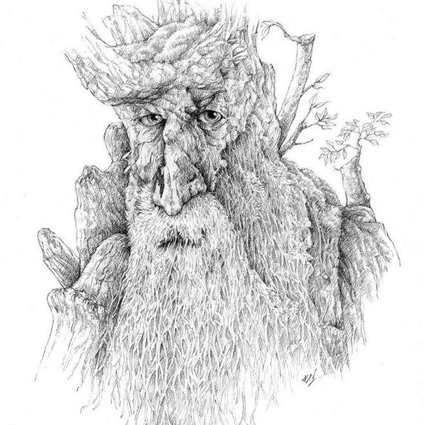 Treebeard - Etsy