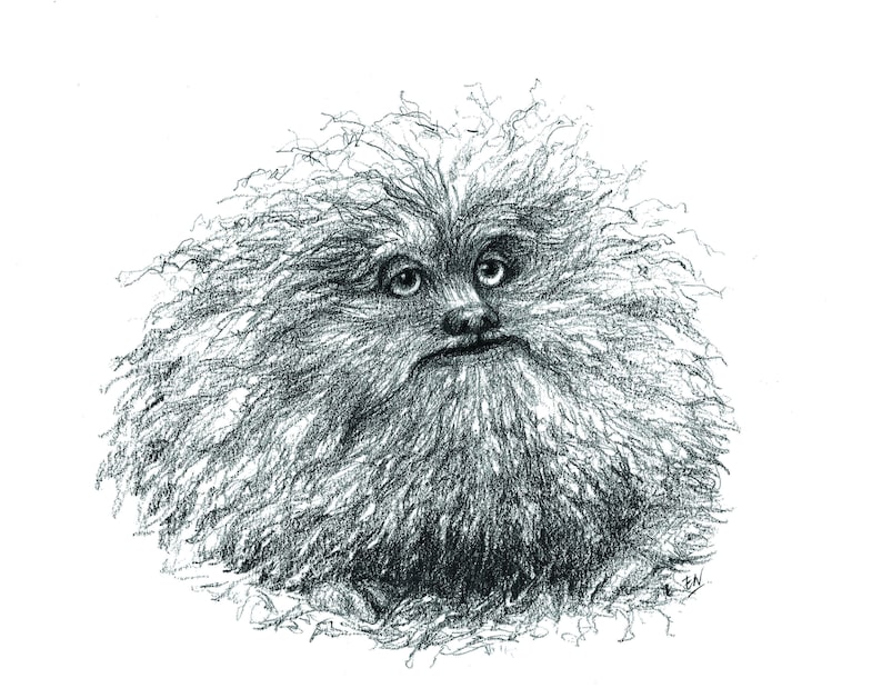 A3 Fizzgig Poster. the Dark Crystal Tribute (free Postage in Australia ...