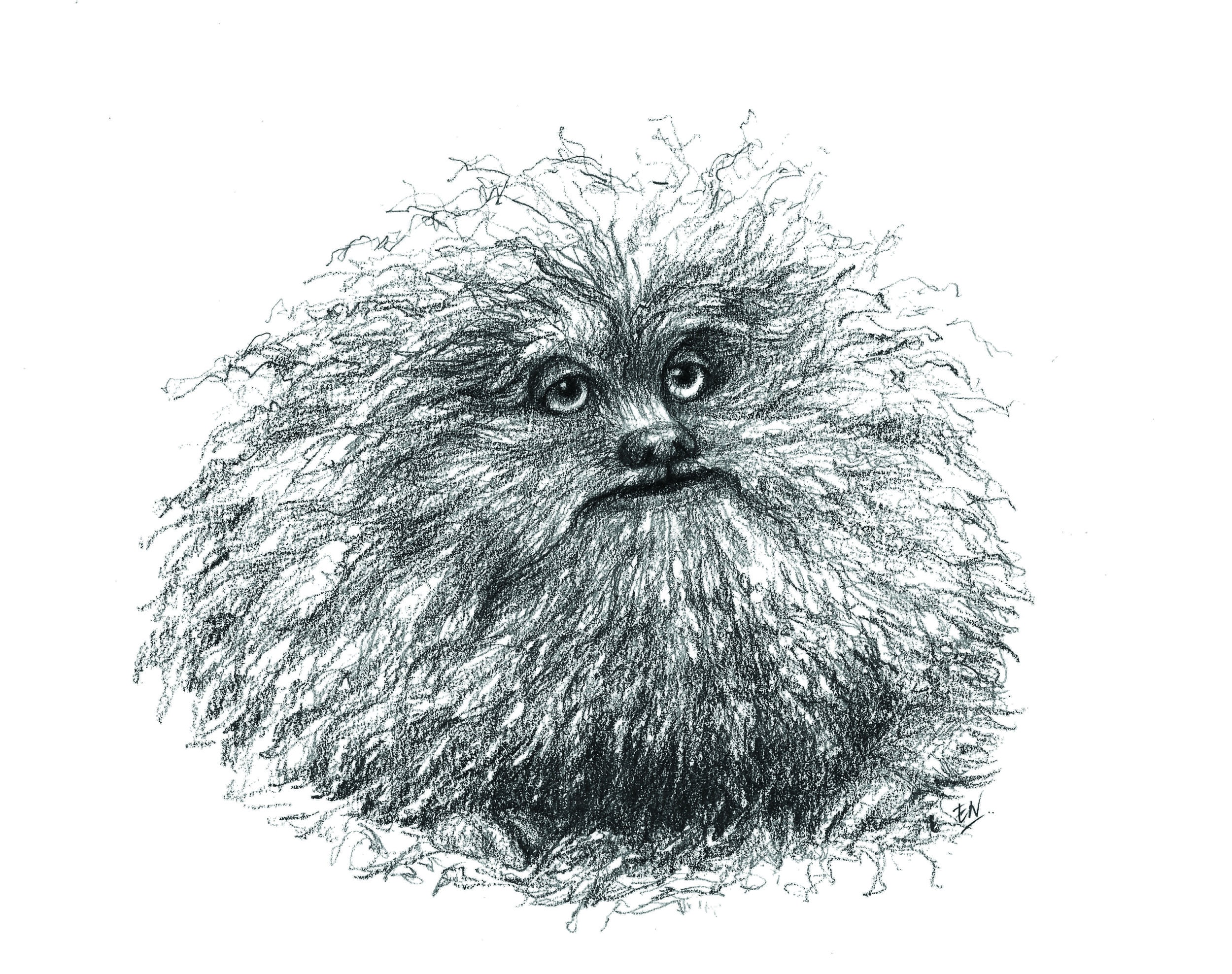 A3 Fizzgig Poster. the Dark Crystal Tribute (free Postage in Australia ...