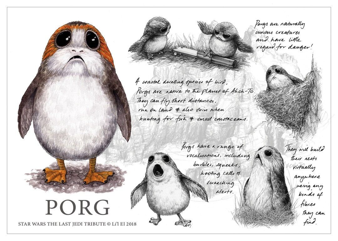 A3 Porg Field Guide Poster. the Last Jedi Tribute. Starwars Fan Art ...