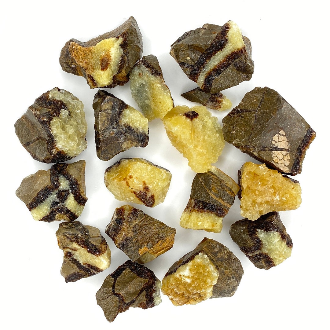 Bulk Rough Stone Large Brown Septarian From Madagascar by Locco Decor ...