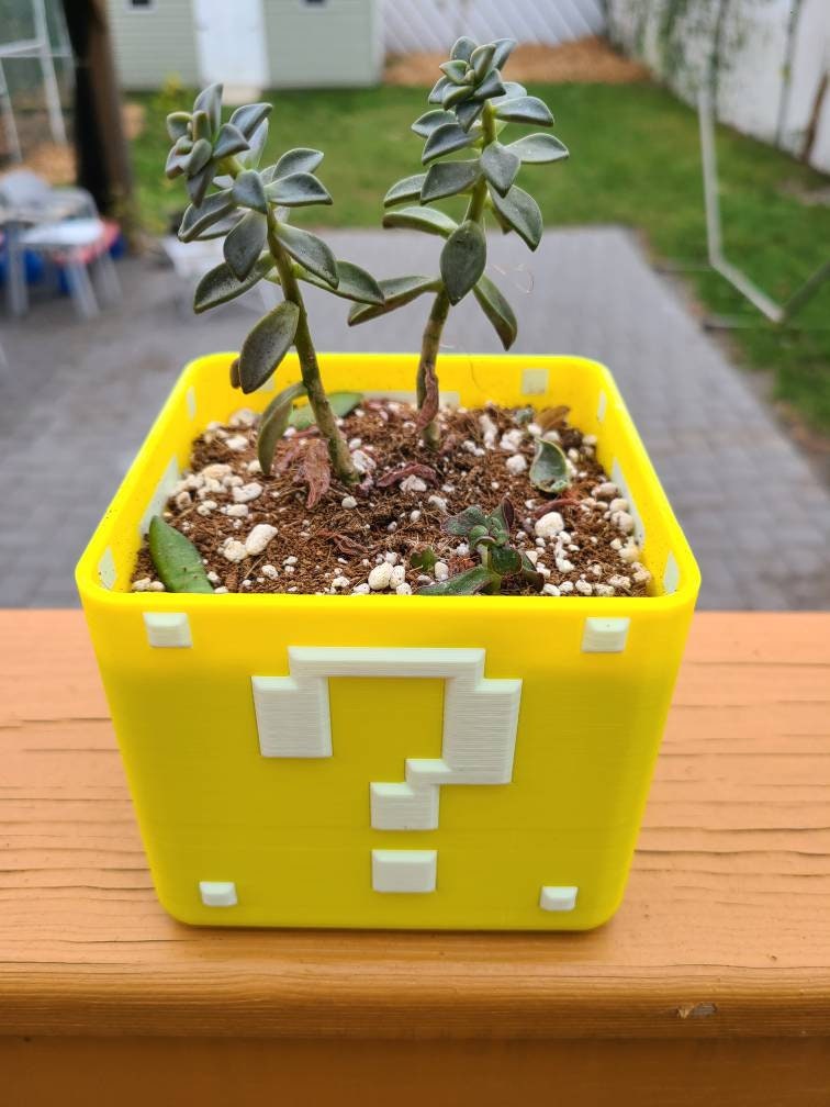 Super Mario Planter Box for Succulents Mario Bros Coin Box - Etsy